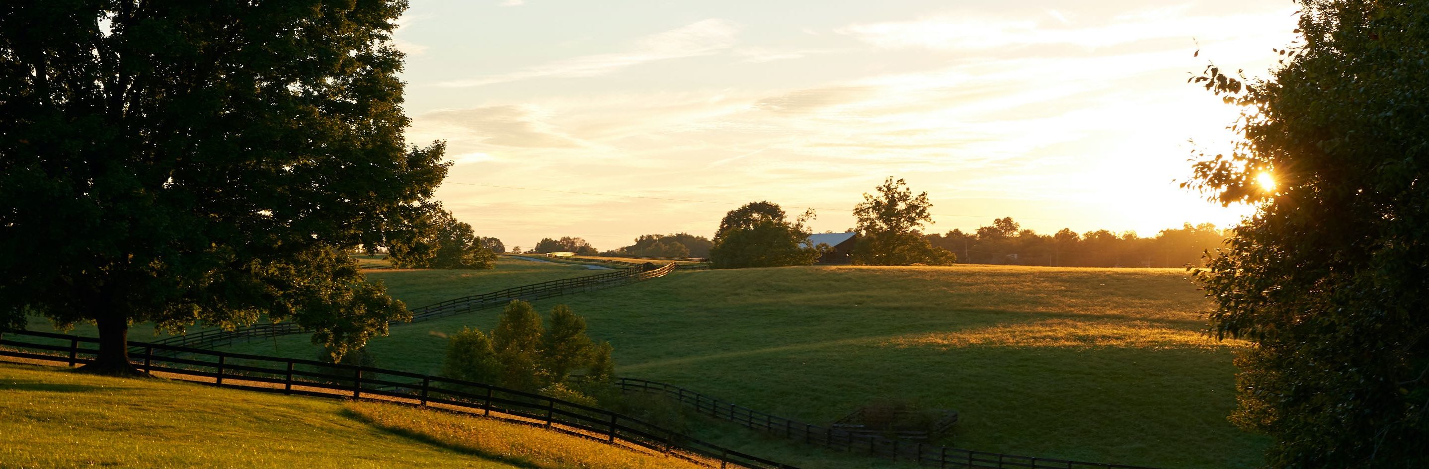 Farm - Hermitage Farm